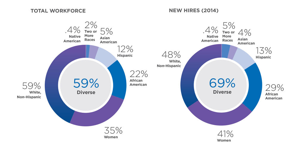 Our Workforce, By the Numbers