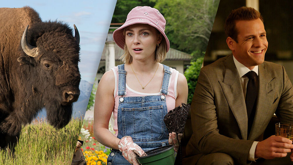 NBC’s Newest Shows Arrive in February—Three Series, Three Studios, One ...